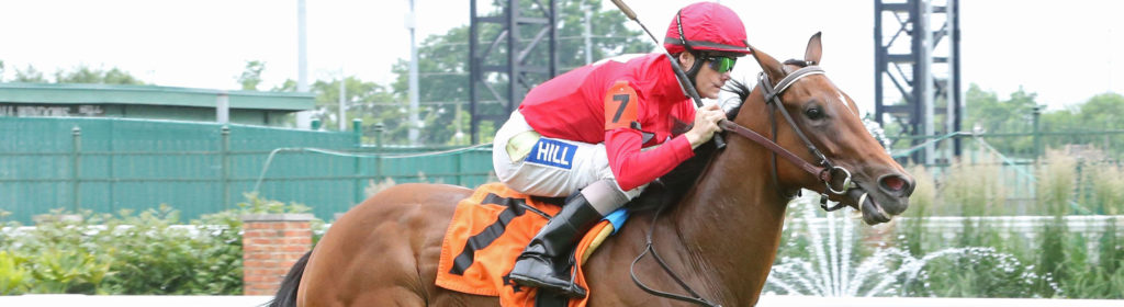 Pocket Aces Racing - Horse Racing Partnerships | POCKET ACES RACING