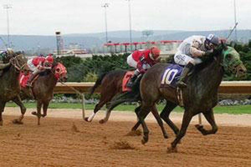 Victory Morning | Pocket Aces Racing