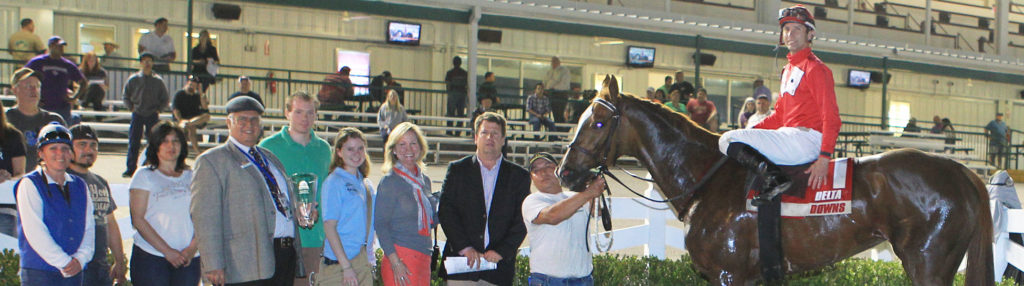 Pocket Aces Racing - Horse Racing Partnerships | POCKET ACES RACING