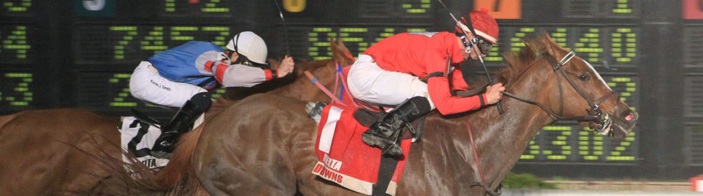 Pocket Aces Racing - Horse Racing Partnerships | POCKET ACES RACING