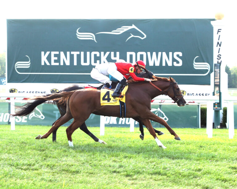 Pocket Aces Racing - Horse Racing Partnerships | POCKET ACES RACING