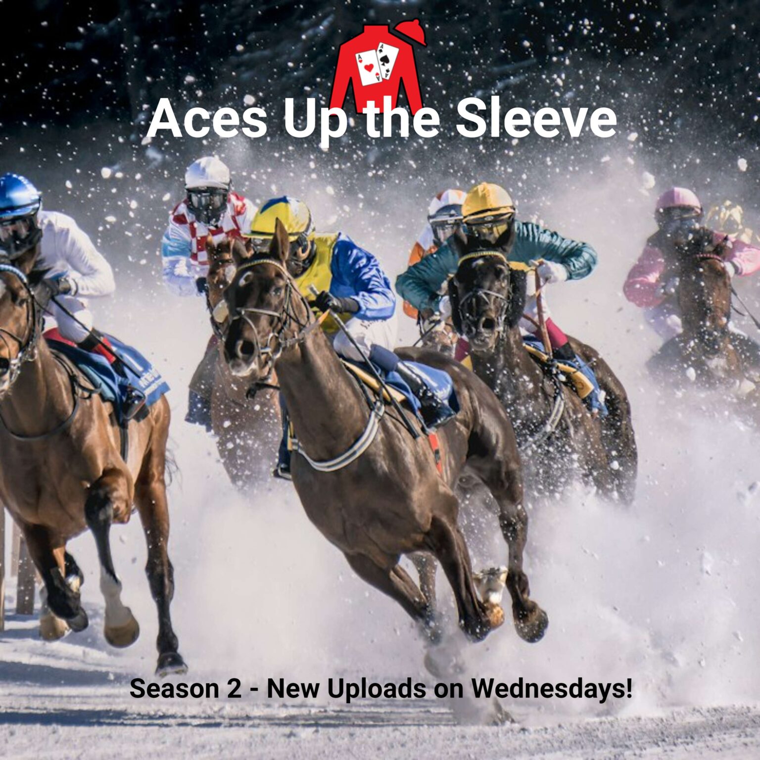 Pocket Aces Racing - Horse Racing Partnerships | POCKET ACES RACING