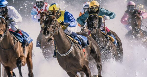 Aces Up The Sleeve Discusses our Available 2YOS - Pocket Aces Racing