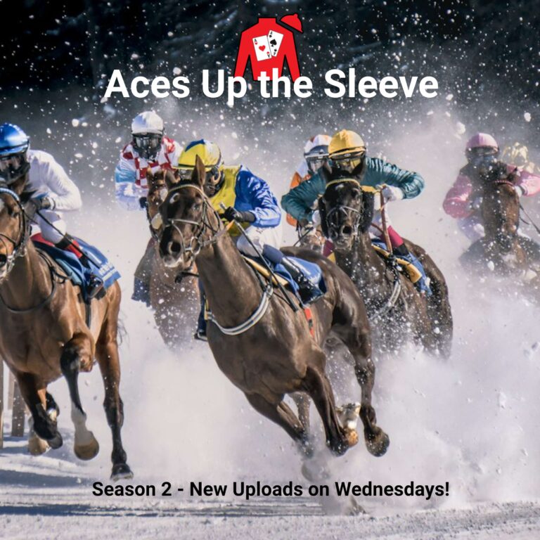 Aces Up The Sleeve Discusses our Available 2YOS - Pocket Aces Racing
