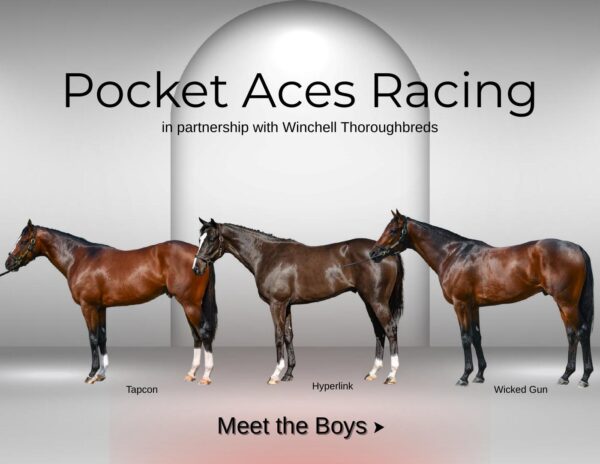 Pocket Aces Racing Adds Three Colts Through Partnership With Winchell Thoroughbreds - Pocket ...